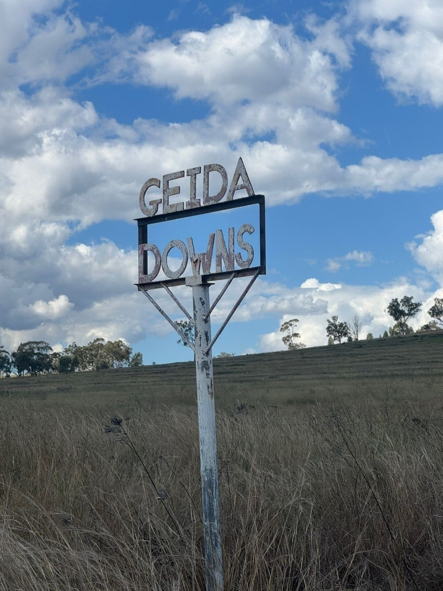 "Geida Downs", Warialda > North West Real Estate & Livestock