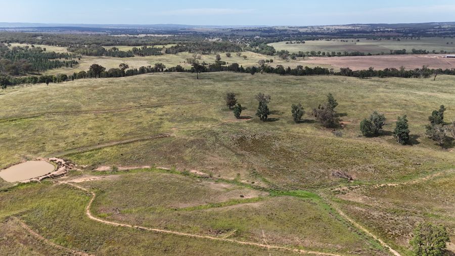 4436 WARRUMBUNGLES WAY, Binnaway > David Grant Livestock Agency