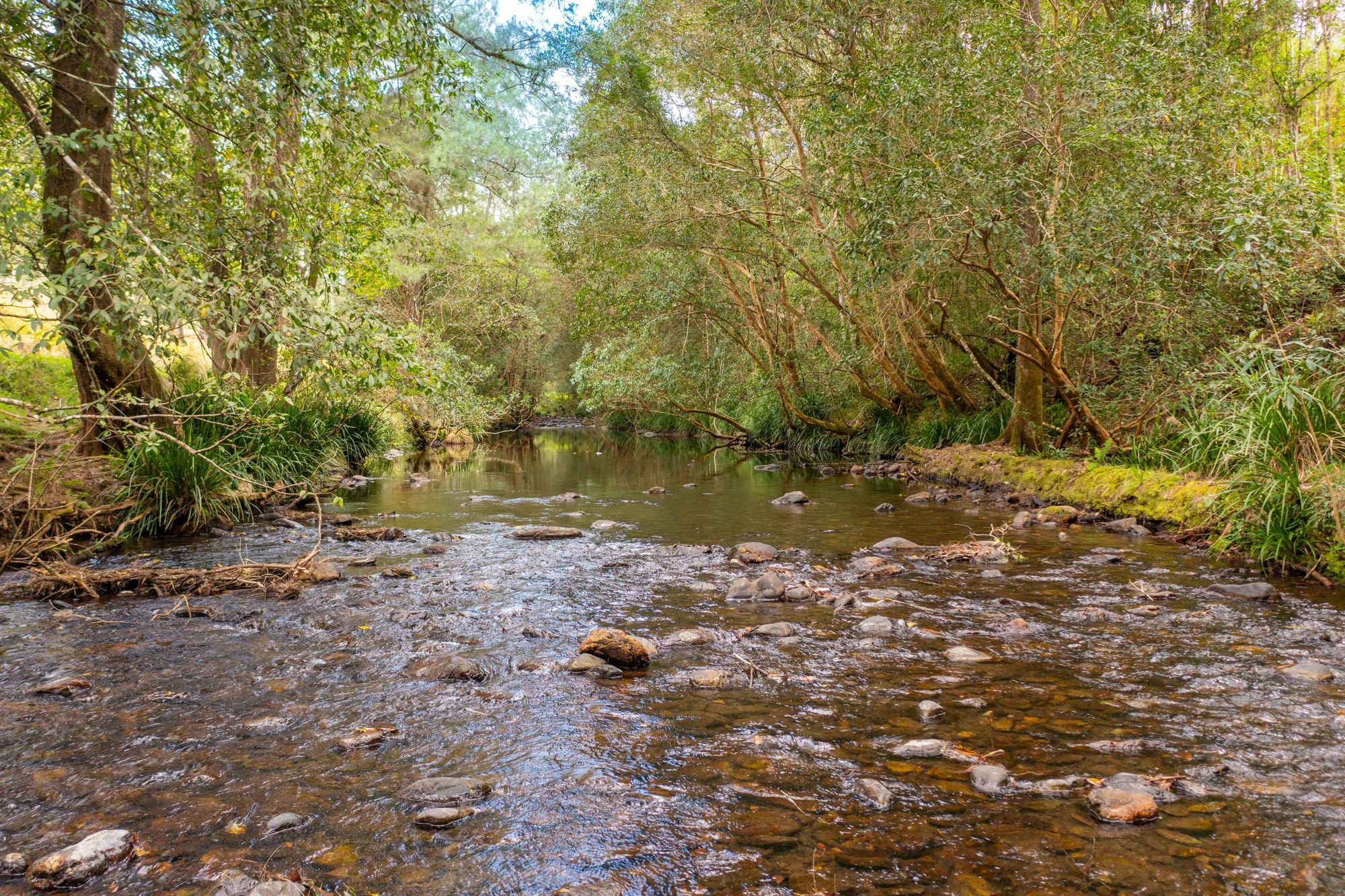 8930 Oxley Highway, Mount Seaview > Garry Knapp Realty