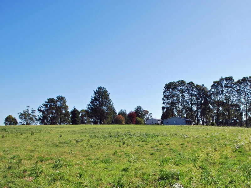 Lot 1 Euloo Road, Peats Ridge > Kidd Property Sales