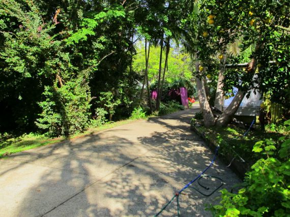 Cardow & Partners Property Bellingen