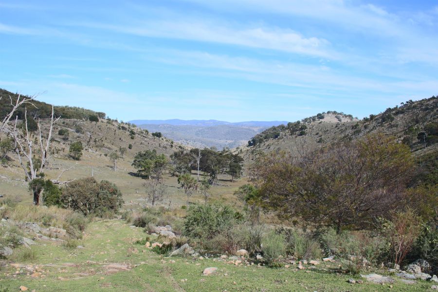 1759 Mount Mackenzie Road, Tenterfield > Harold Curry