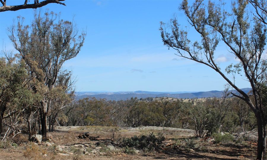 1332 Mount McKenzie Road, Tenterfield > Harold Curry