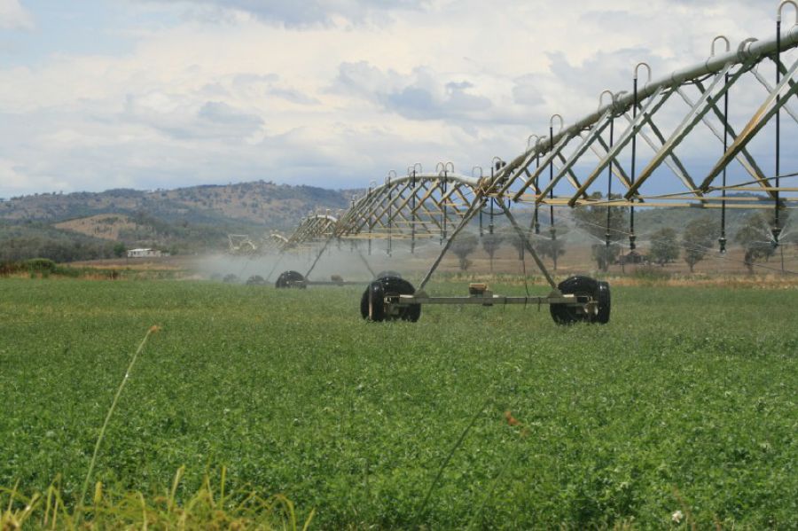 5816a Bruxner Highway, Mingoola > Harold Curry