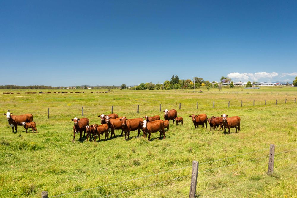 Lot 62 Macleay Valley Way, Kempsey > Port Macquarie Hastings Rural Sales