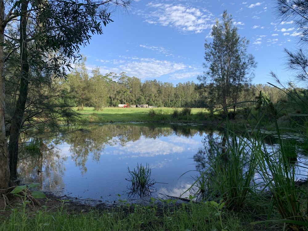 369 Maria River Rd, Crescent Head > Port Macquarie Hastings Rural Sales