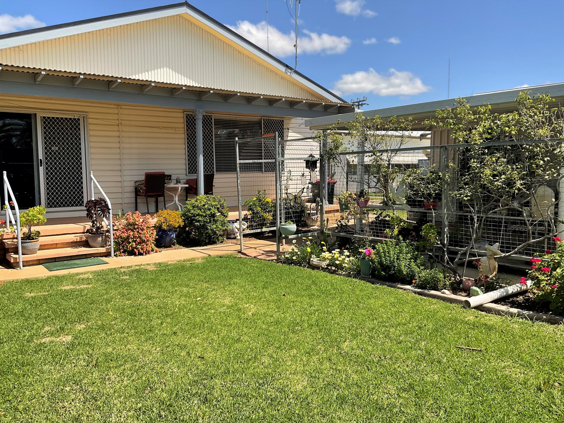 25 Tooloon Street, Coonamble > Halcroft & Bennett