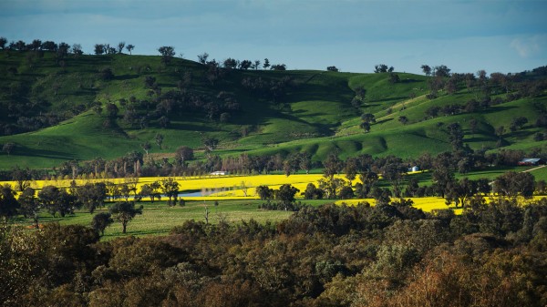 Woomargama is a picturesque village nestled at the foothills of ...
