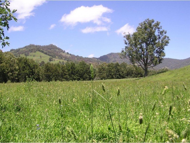 Brindabella Blue Crawny Road, Nundle > Tamworth Property Co